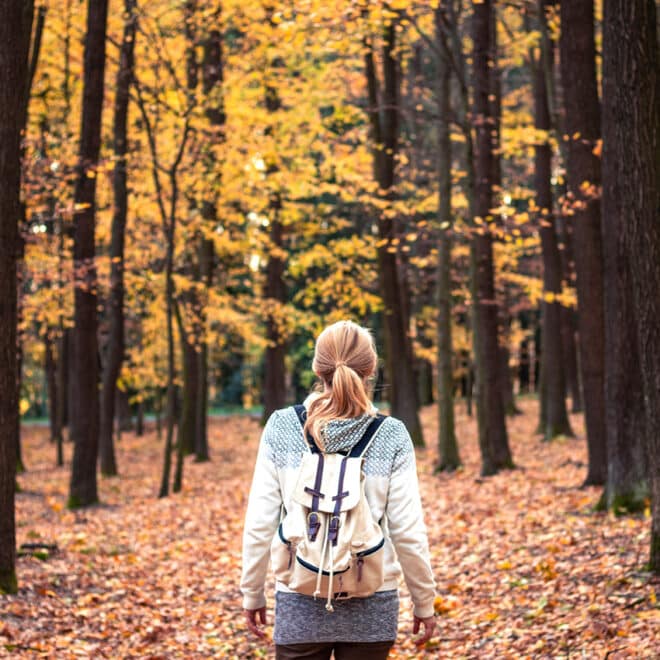 Which Tree is Associated with Your Zodiac Sign? | Astrology Answers