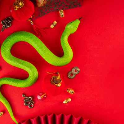 All About the Year of the Snake | Astrology Answers